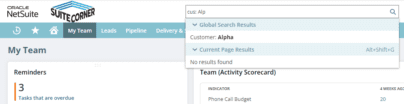 NetSuite Global Search: Guide & Tips | SuiteCorner